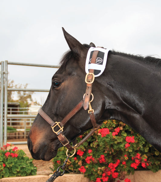 Professional Choice Magnetic Poll Piece – Tack Room Too