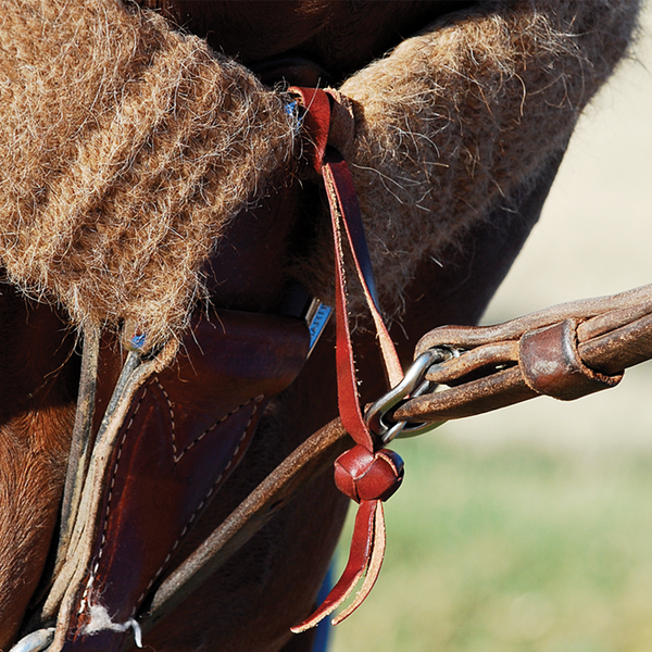 Equibrand Tie Down Hobble – Tack Room Too